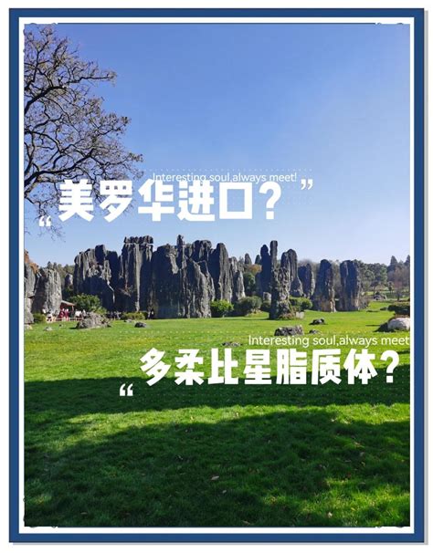 化疗药：选进口还是国产？