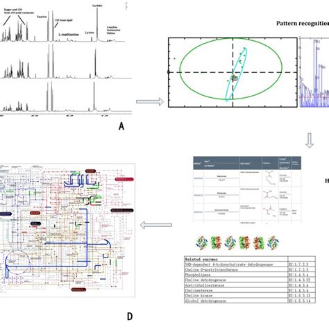 Severe And Mild Sci Score Plot The Blue Ellipse Illustrates 95 Cis