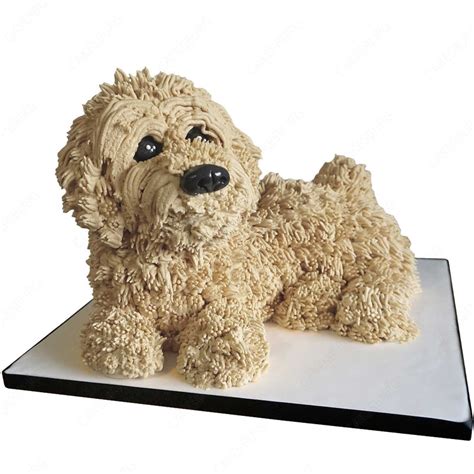 Cockapoo Dog Cake White