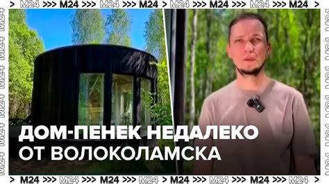 Туристов пригласили в Дом пенек недалеко от Волоколамска Москва 24 Youtube