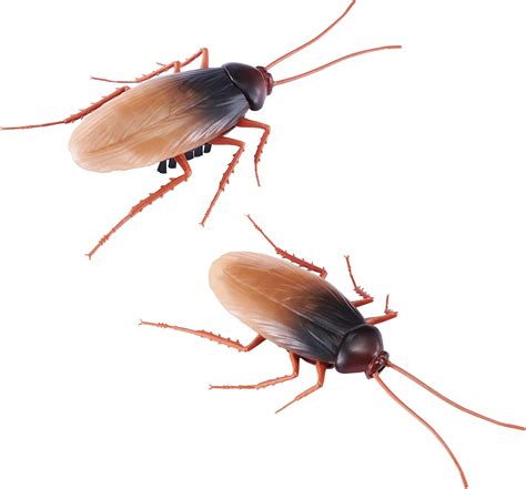 Robo Alive Scuttling Cockroach Battery Powered Robotic Toy 2 Pack