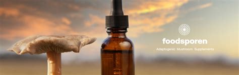 The Difference Between A Tincture And An Extract