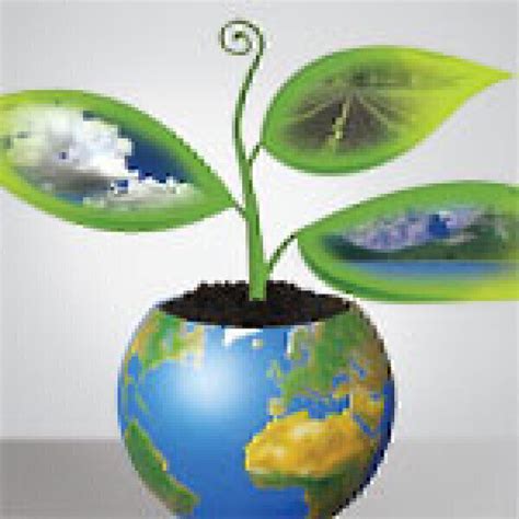 Why You Should Be Concerned About Perfluorinated Compounds Envirotech