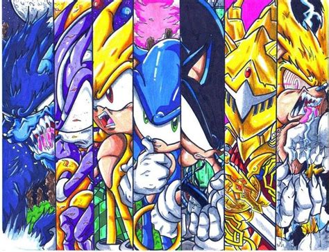 All Sonic Forms Sonic Hedgehog Art Sonic The Hedgehog