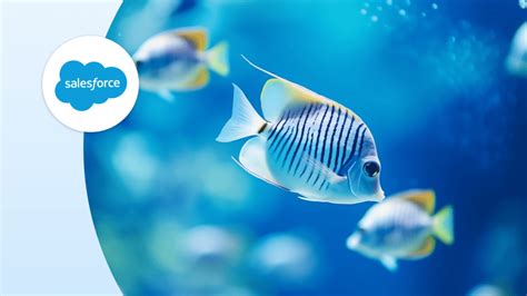 Deloitte Accelerates Global Esg Reporting Efforts With Salesforce Salesforce