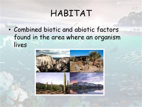 Interactions In Ecosystems Ppt Download