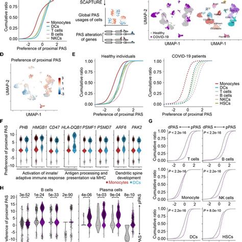 Constructing The Embedded Deeppass Model For Position Insensitive