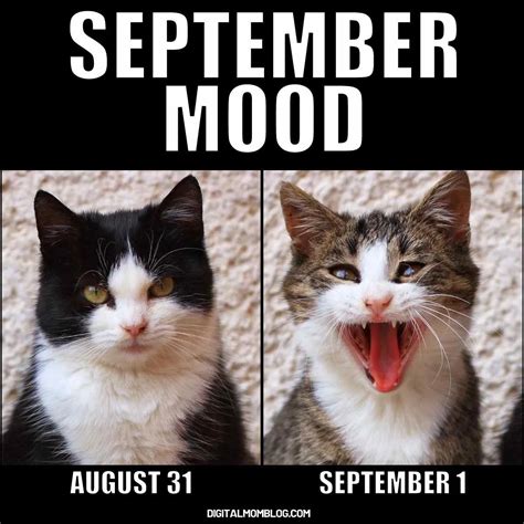 September Meme Brave New World Usus Science Unwrapped Goes Virtual