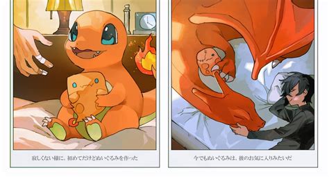 Charizard Danbooru