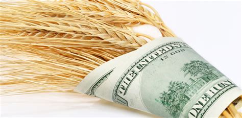 Subsidize Quotes Quotesgram