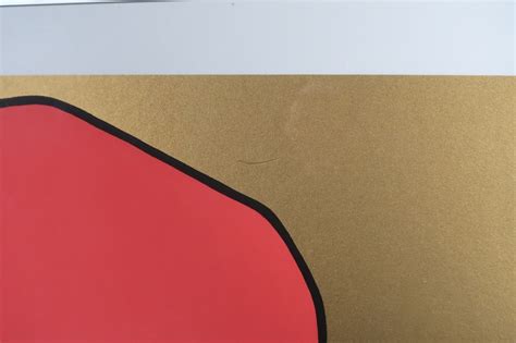 Wouter Van Riessen Wouter Van Riessen Zeefdruk Pinocchio Madonna Ingelijst Groot