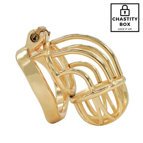 Inverted Chastity Cage New Cb Store