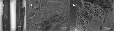 Unidirectional Carbon Fiber Compression After A Breakage Morphology