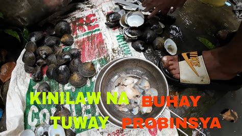 Kinilaw Na Tuwaybuhay Probincya Conat Alorankaliks Venture Tv