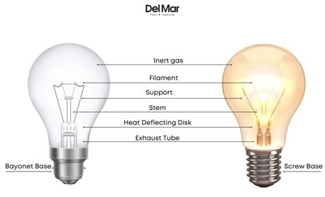 Incandescent Bulb Model Light