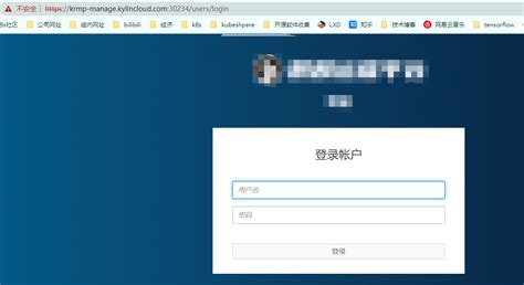 Use Apisix， Must Use The Domain Name Followed By The Path To Access Otherwise You Will Lose The