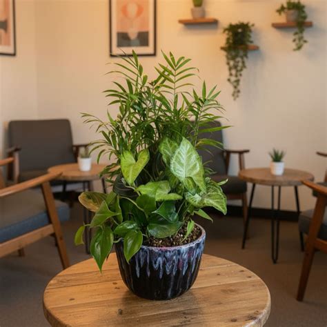 8 Ceramic Dishgarden Chalet Flowers