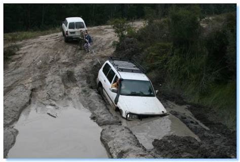 Bunyip State Forest 2007