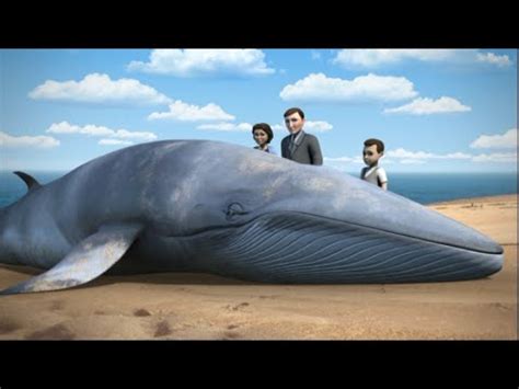 Thomas Season 19 Review Toad And The Whale Youtube