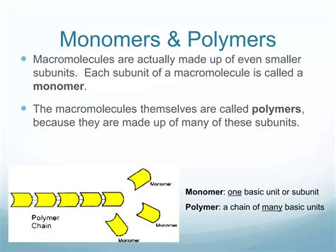 Macromolecules Pptx