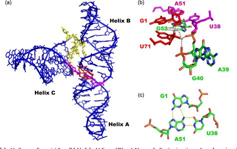Figure 3 From Evolutionary Origins And Directed Evolution Of Rna