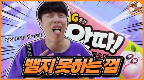 평생 씹을 수 있는 껌이 있다면 딩굴딩굴 Youtube