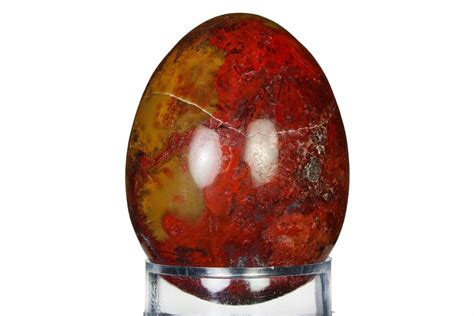 1 9 Polished King Cobra Jasper Egg India 322433 For Sale