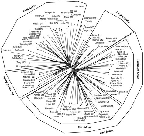 6 Network Of 95 Bantu And Bantoid Languages Calculated Using The