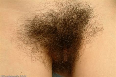 Azelea Atk Hairy Freeones Forum The Free Munity