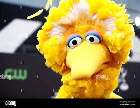 File In This Aug 30 2009 File Photo Big Bird Arrives For The