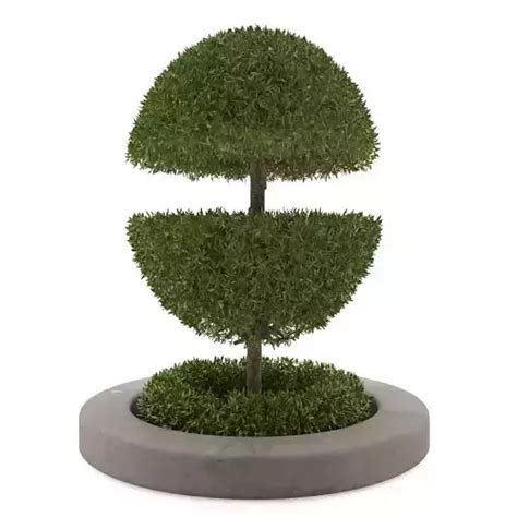 Outdoor Bush Free 3d Model Cgtrader