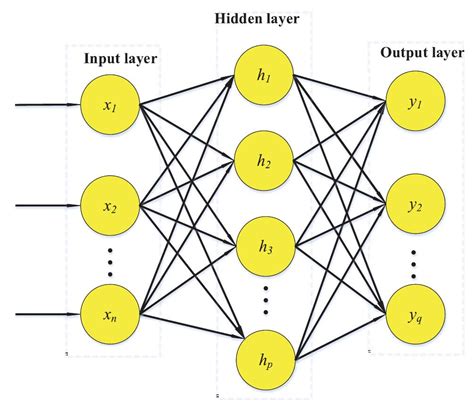 Aschematic Diagram Of The Fitting System Based On The Bp