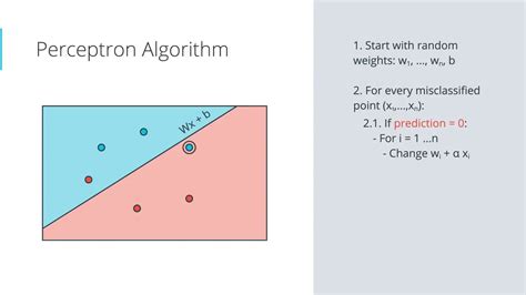 67 Perceptron Agorithm Pseudocode Youtube