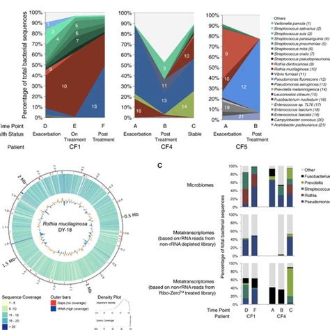 Taxonomic Analysis Of The Microbial Communities In Three Cf Patients