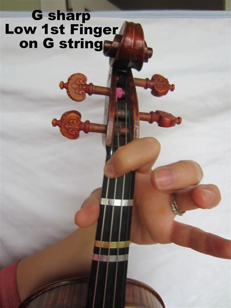Violin G String Frequency At Sebastian Queale Blog
