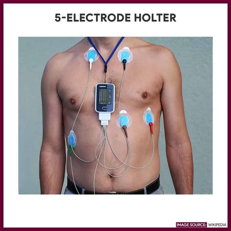 Holter Spider Flash Holter Ajkcj