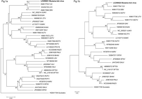 Detection And Phylogenetic Analysis Of Phlebovirus Including Severe