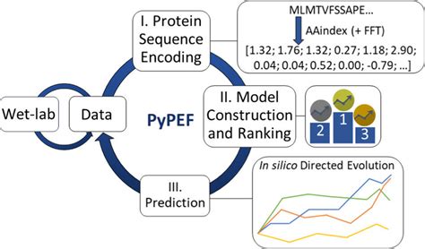 Pypef—an Integrated Framework For Data Driven Protein Engineering