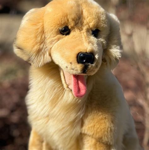 Auswella® Charlie™ 16 Golden Retriever Plush Stuffed Animal Dog