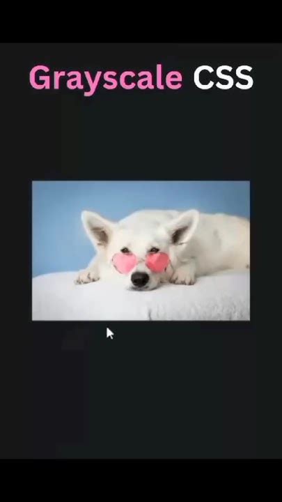 Grayscale Css Property Css Codingsai Youtube