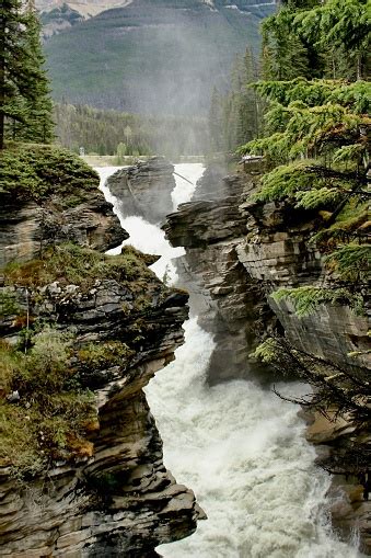 Vertical De Las Fascinantes Cataratas De Athabasca Cascada En El Parque