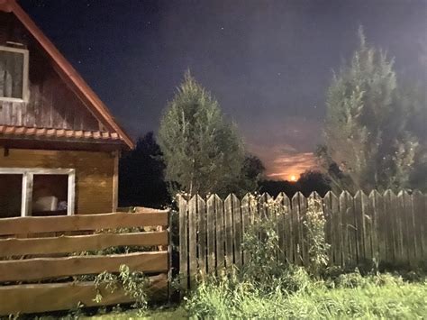 Pando Une Forêt Unique Au Monde Se Meurt à Cause De Lhomme France Culture