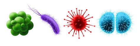 190 Gonorrhea Stock Illustrations Royalty Free Vector Graphics And Clip