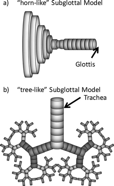 Subglottal System Modeled As A A “horn Like” Structure And As B An