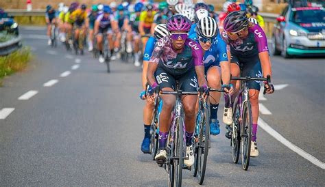 A Quick Brown Fox At Patron Hunt — Find Your Next Favorite Indie Creator