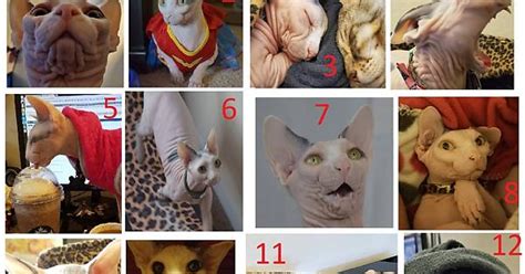 Phyrexian Obliterator Album On Imgur