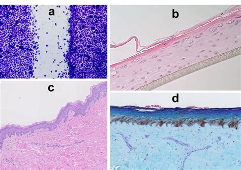 Fahimeh Tabatabaei On Linkedin From 2d To 3d Get A Clearer Picture Of