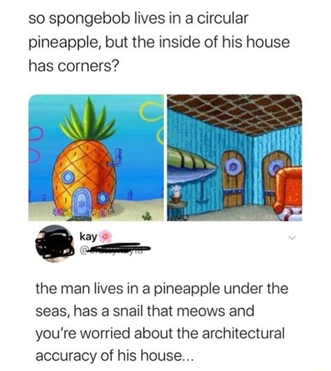 So Spongebob Lives In A Circular Pineapple But The Inside Of His House