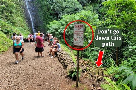 Guide To Manoa Falls Oahus Jungle Waterfall Hike