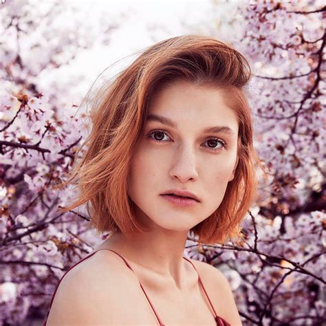 Meet The Rodney Wayne Team Northwest Shopping Centre